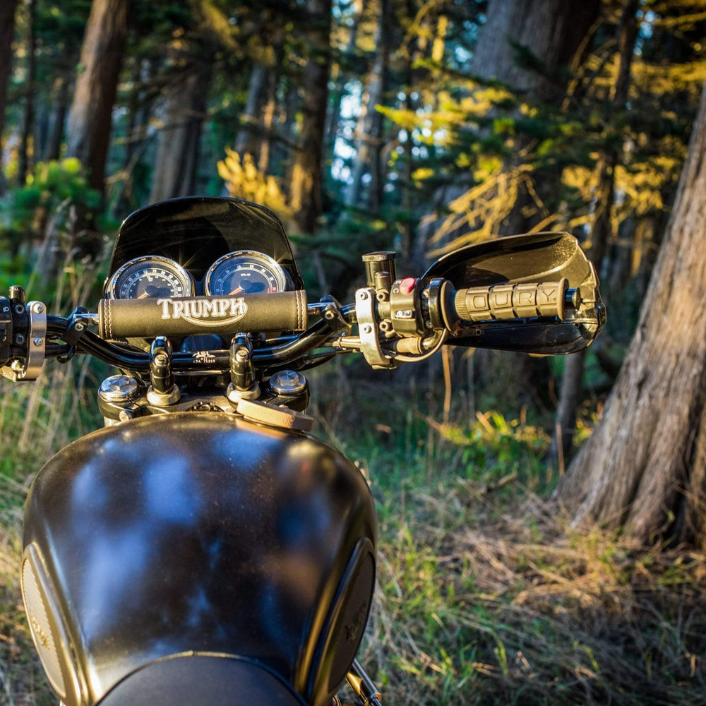 Dart Piranha Series 3 Flyscreen for Triumph Scrambler 900 (2006-2017)